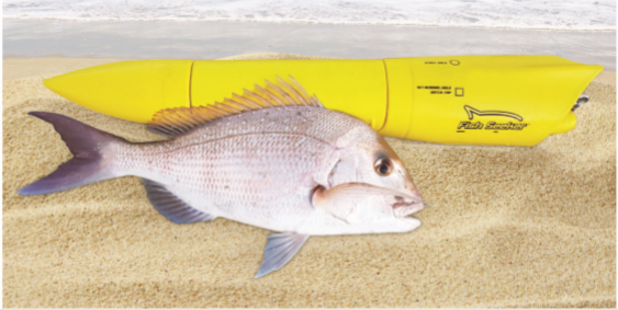 Fish Seeker - Support – TV Shop